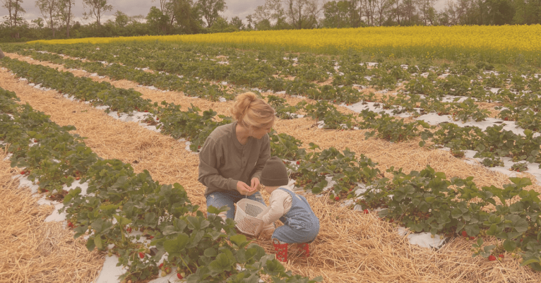 Pick Your Own Berries at These Adorable You-Pick Indiana Fruit Farms ...