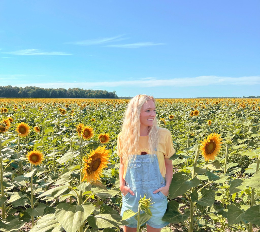 The Best Sunflower Fields in Indiana to Visit This Season – Indiana Hannah