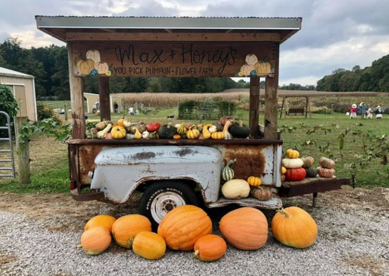 50 of the Best Fall Things to do in Indiana – Indiana Hannah
