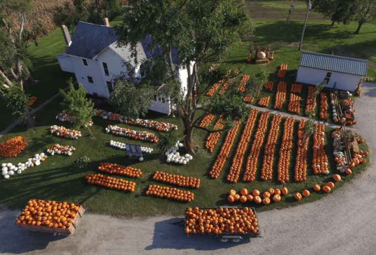 50 of the Best Fall Things to do in Indiana – Indiana Hannah