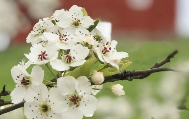 screenshot-2023-03-15-150953 – Indiana Hannah