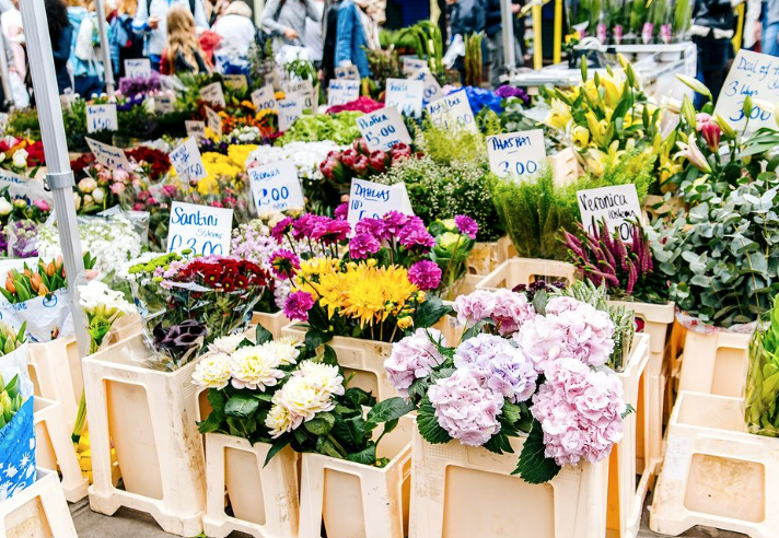 screenshot-2023-03-16-140237 – Indiana Hannah