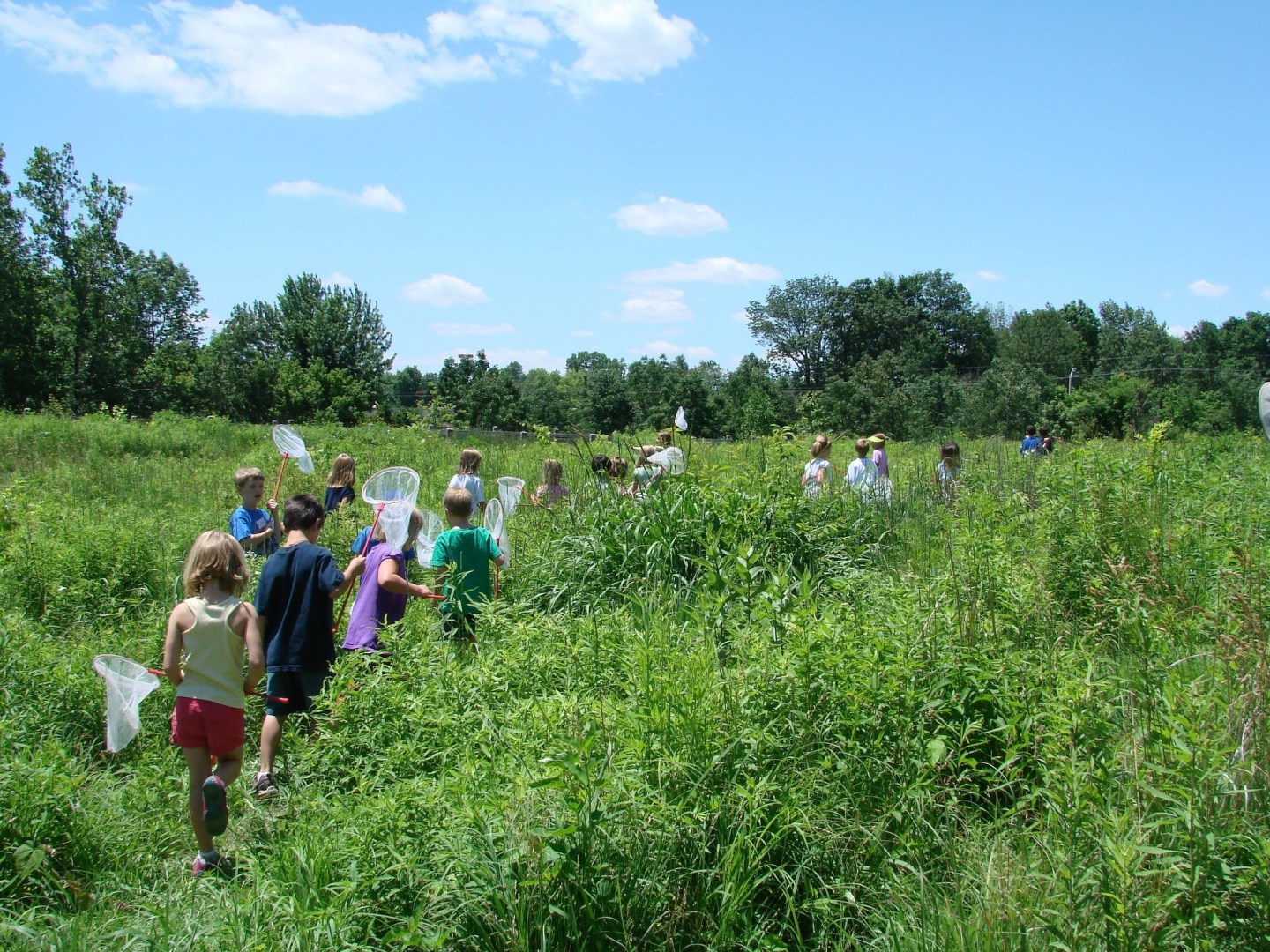 The Coolest Summer Things to do in Indiana – Indiana Hannah