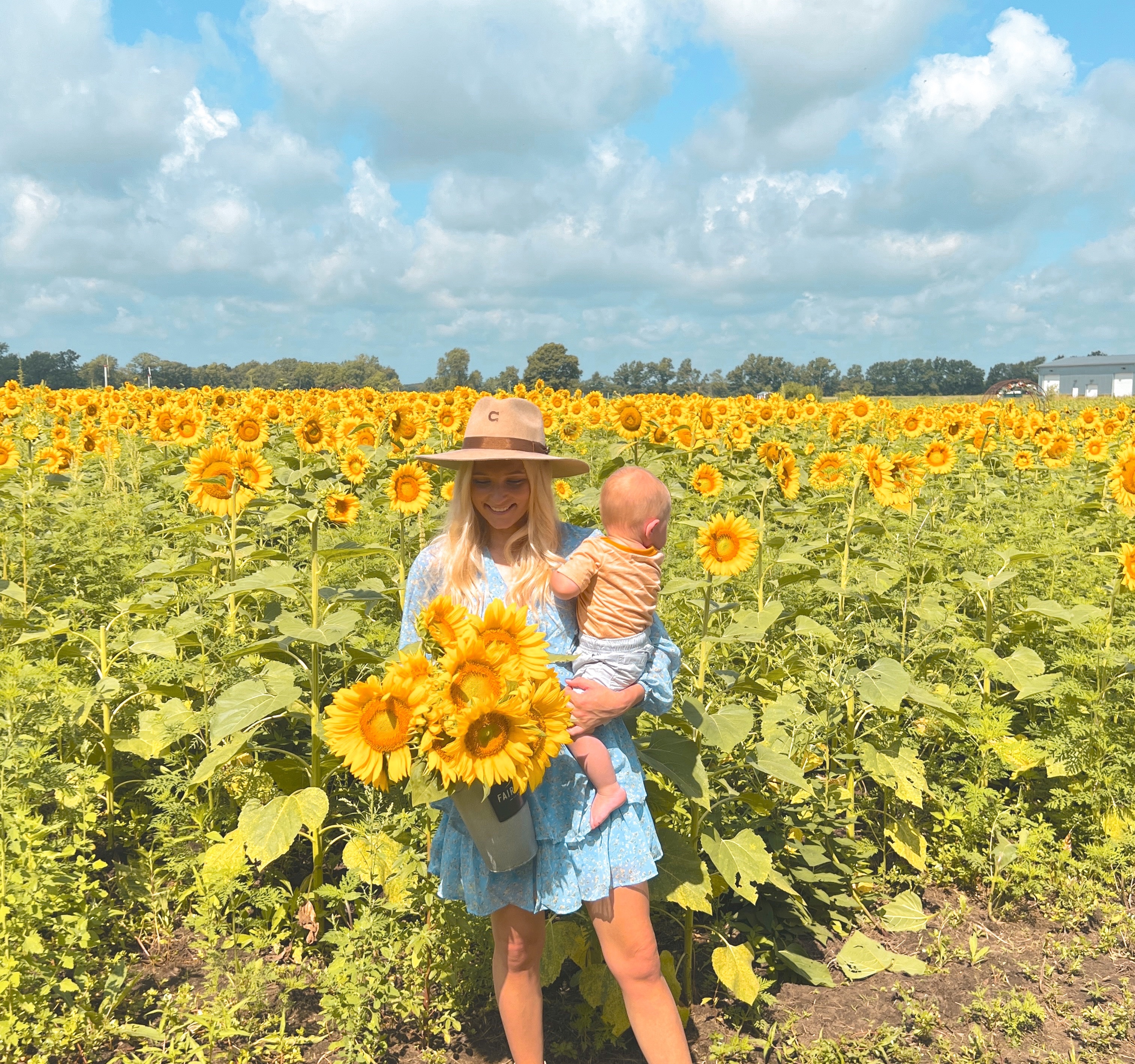 The Best Sunflower Fields in Indiana to Visit This Season – Indiana Hannah