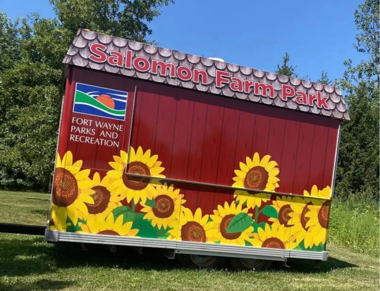 The Best Sunflower Fields in Indiana to Visit This Season – Indiana Hannah