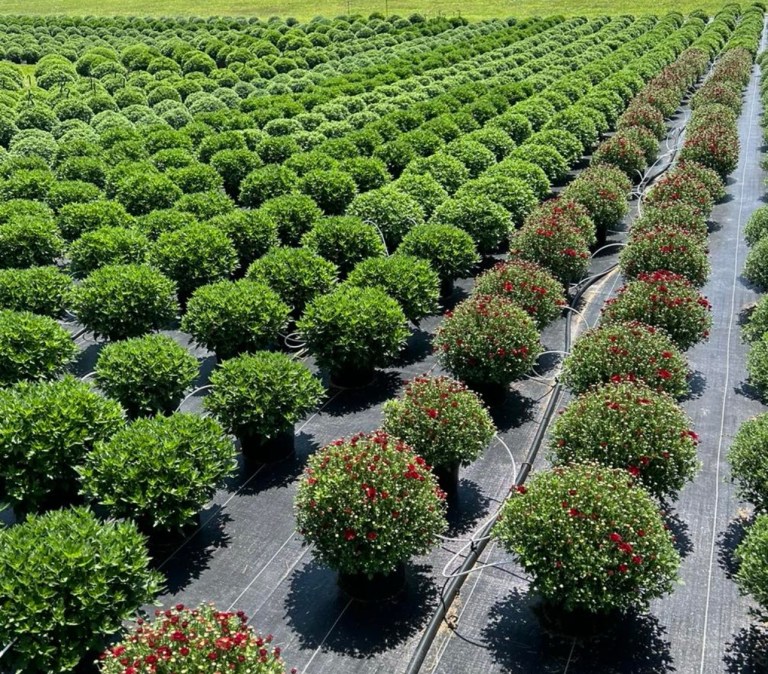 50 of the Best Fall Things to do in Indiana – Indiana Hannah