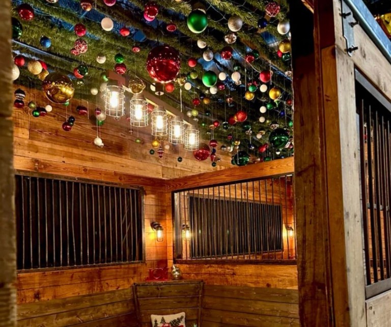 The Most Magical Winter Things to do in Indiana – Indiana Hannah