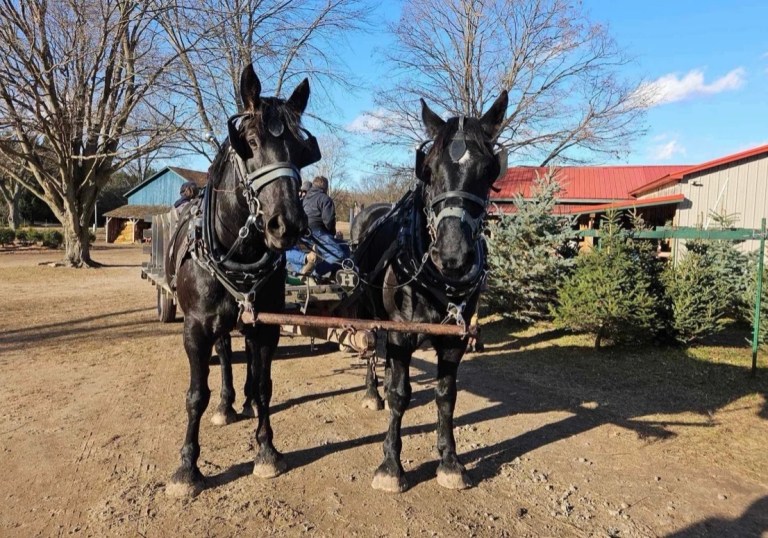 The Most Magical Winter Things to do in Indiana – Indiana Hannah