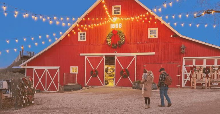 The Most Magical Winter Things to do in Indiana – Indiana Hannah